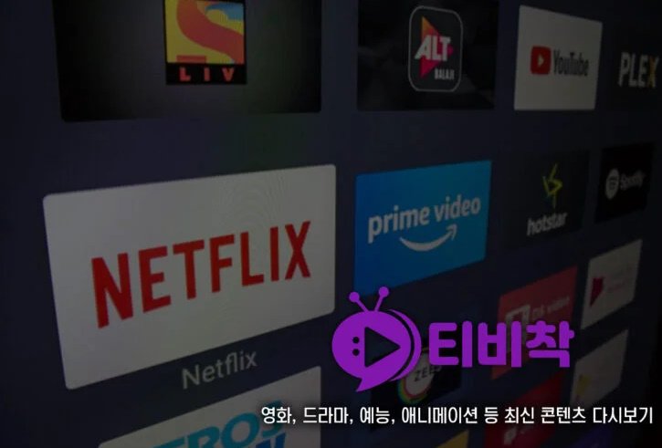 티비착(tvchak) 플랫폼 우회주소 완벽 가이드